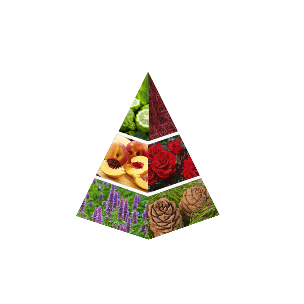 Rameesah Perfume Oil 25 ML | Naseem Perfume India