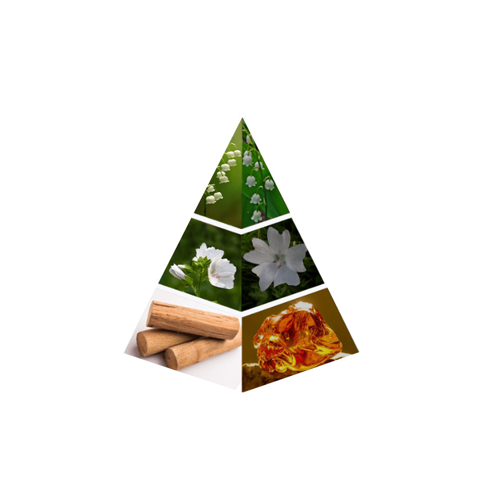 Musk Safi 6ML Perfume & Cologne | Naseem Perfume India